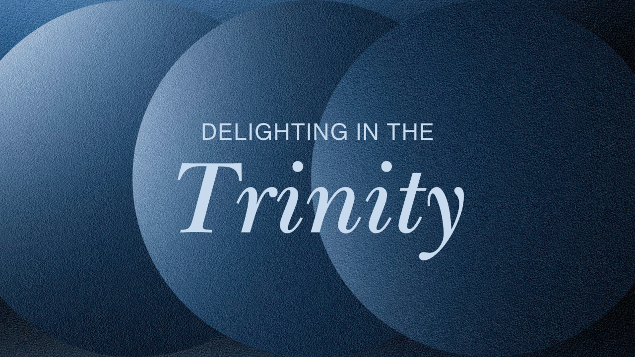 #4 God the Spirit Who Transforms Us | Trinity Church Adelaide